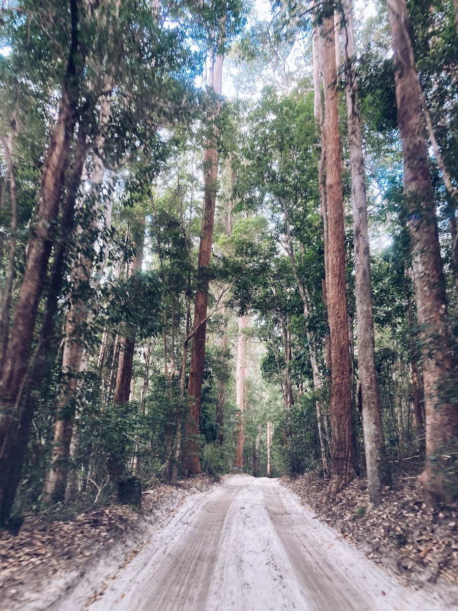 Appreciation Poem: Sir Francis Drake – Love, Gracie